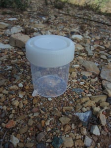 Plastic Sample Vials with Screw Caps